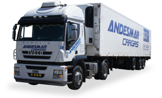 Andesmar Cargas | Extensa flota para encomiendas y cargas
